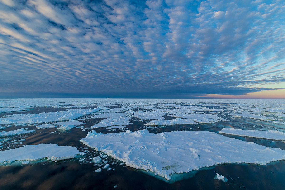 State of the cryosphere - Irreversible damage at 2 degrees