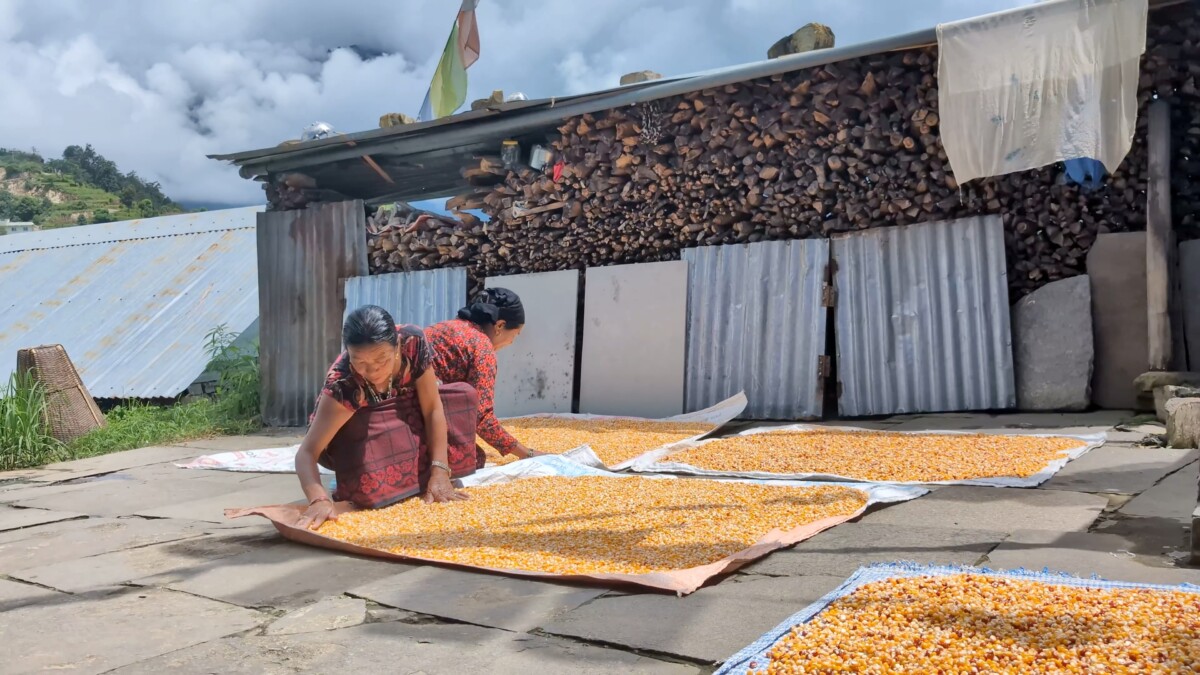 Picturing alternative rural futures: participatory foresight for a ...